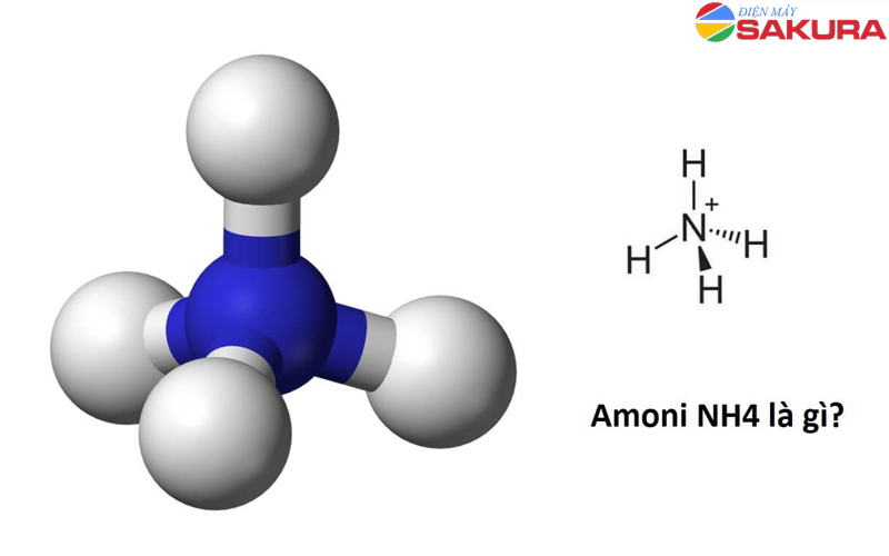 Amoni là gì? Có độc hại không? Hướng xử lý Amoni hiệu quả nhất