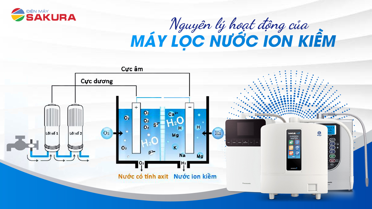 Nguyên Lý Hoạt Động Của Máy Lọc Nước Điện Giải Ion Kiềm